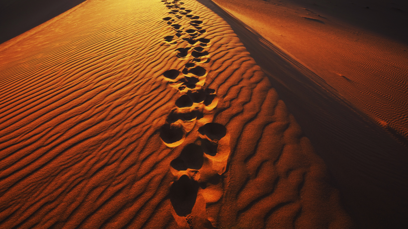 The Story of Prophet Shoaib - The Islamic Faith
